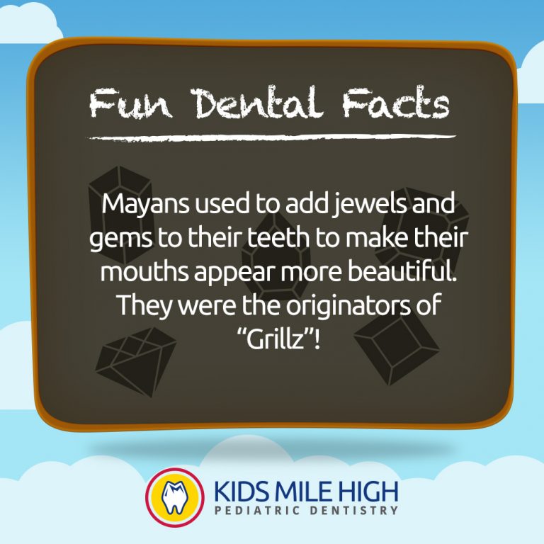 Fun Dental Facts | The Original Grillz - Kids Mile High