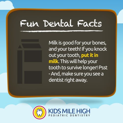 How a Glass of Milk can Save a Knocked Out Tooth | Kids Mile High